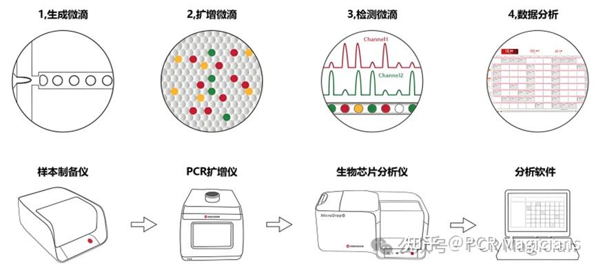 数字PCR技术详解一：什么是数字PCR - 知乎