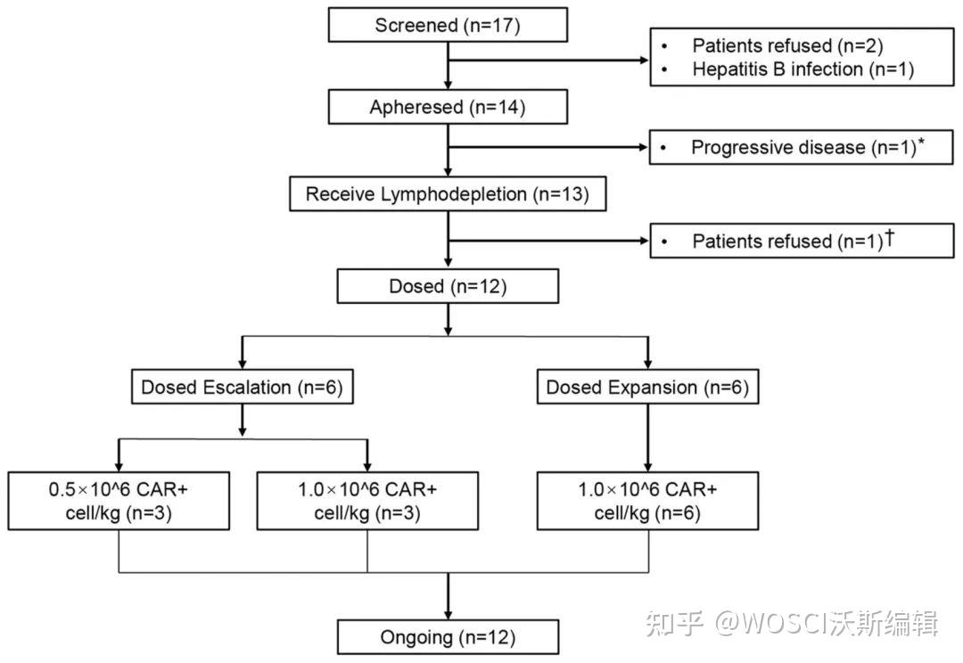 STTT | 华中科技大学证明CAR-T细胞疗法能够安全有效治疗复发或难治性视神经脊髓炎谱系障碍 - 知乎