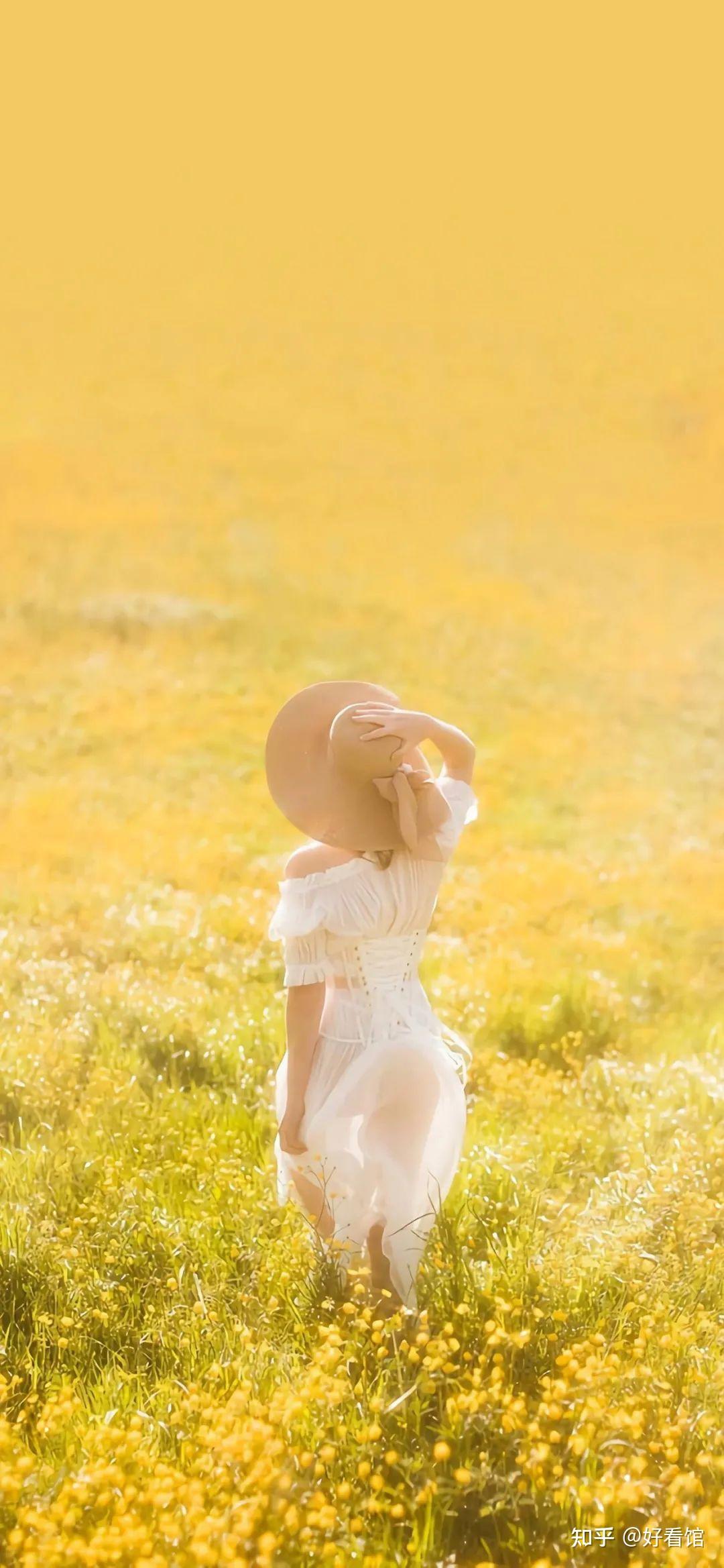 高清壁纸来袭，全是4k全屏无水印 - 知乎