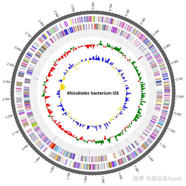 生信log22|CGviewer升级啦-交互式操作画基因组Circos圈图（使用和评价） - 知乎