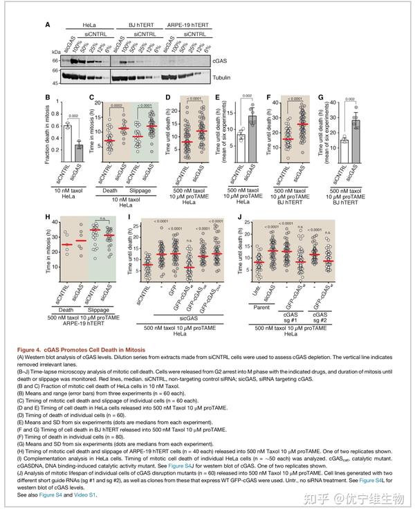 看19年Cell是怎么把cGAS促进细胞死亡讲明白的 - 知乎
