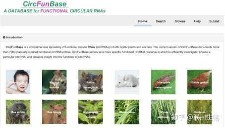 建议收藏！16个常用circRNA 数据库介绍 - 知乎