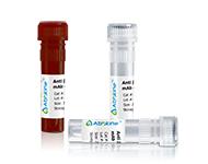 哺乳动物组织和培养细胞提取蛋白—Abbkine ExKine总蛋白提取试剂盒 - 知乎