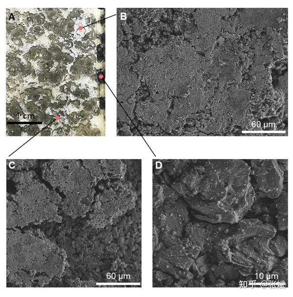 清华&北理工 Angew. Chem.：电荷转移过程如何决定锂离子电池快充极限- Battery Insider - 知乎
