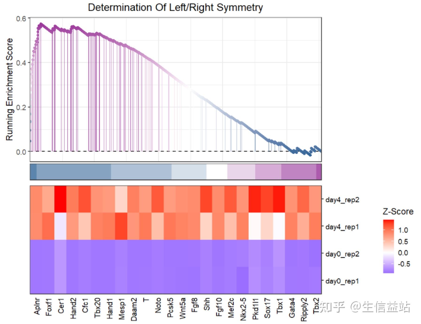 高分文章呼唤高颜值的GSEA可视化方式 - 知乎