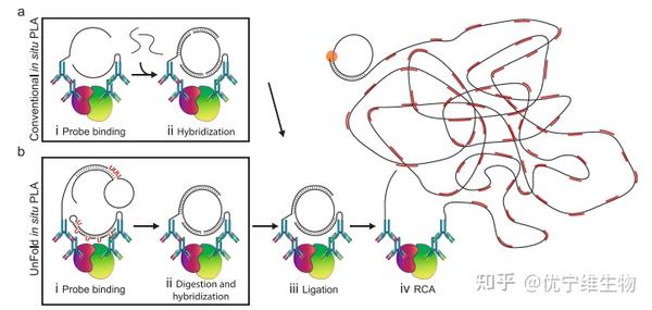 科研干货！Naveni PLA技术&现有文献部分解析 - 知乎