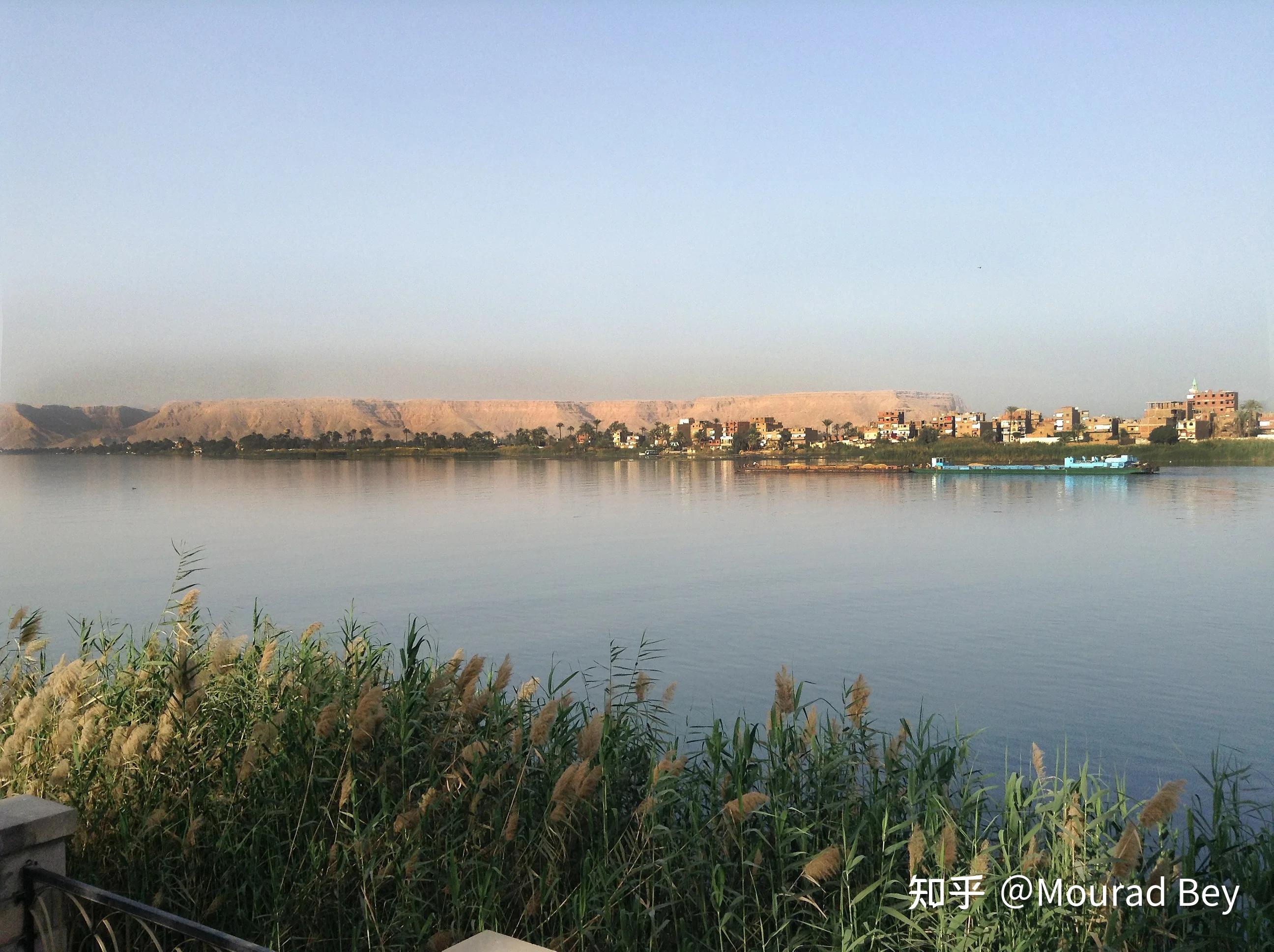 埃及南方地区“上埃及”（al-Ṣaʿīd）的饮食生活与若干日常食品介绍3：南方的日常生活、农业作物和社会现象的简略介绍 - 知乎