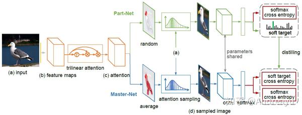 2019CVPR_Trilinear Attention Sampling Network - 知乎
