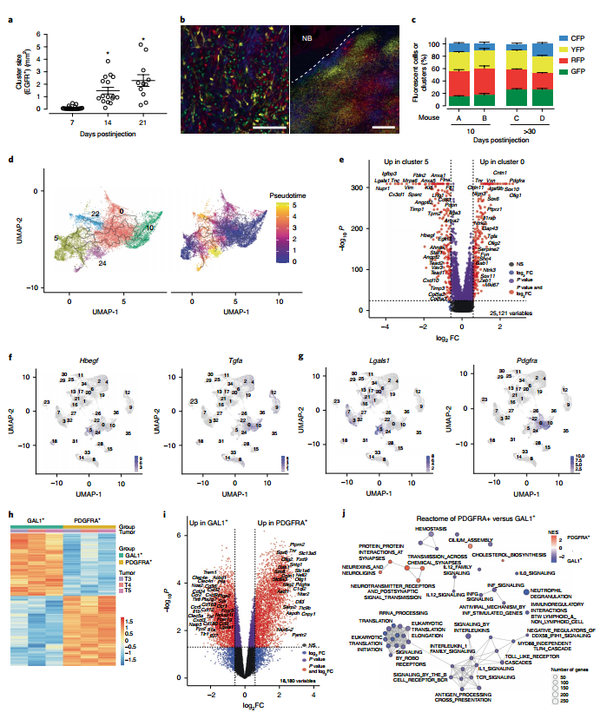 Nature immunology | scRNA-seq揭示胶质母细胞瘤进展过程中免疫景观演变 - 知乎