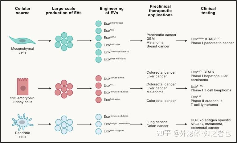 CELL 最新综述-细胞外囊泡在癌症中的作用 - 知乎