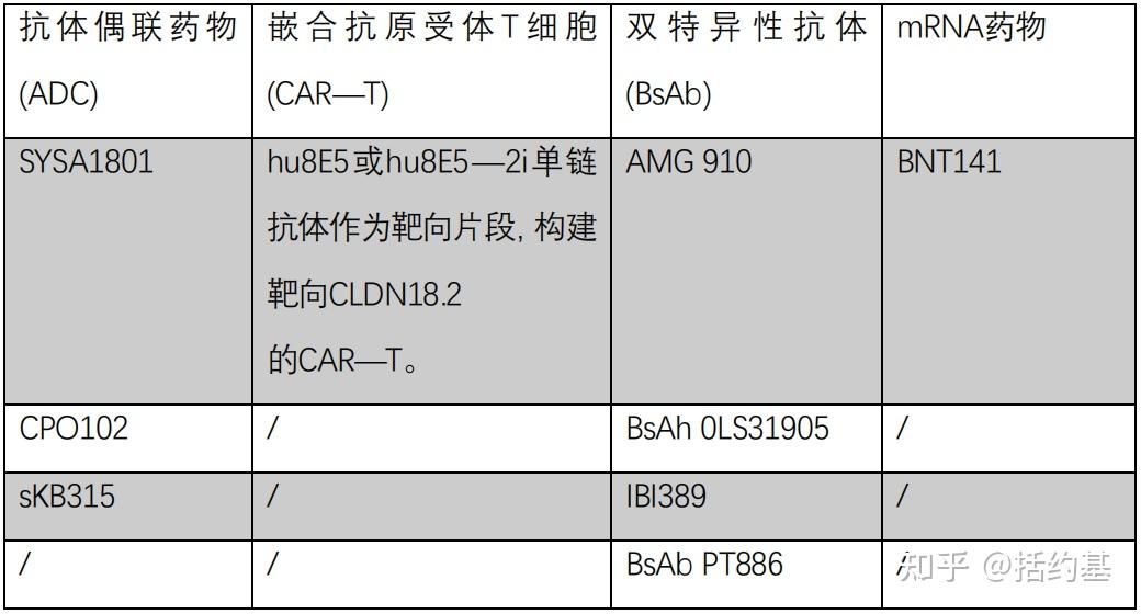 与CLDN18.2靶点相关的研究进展 - 知乎