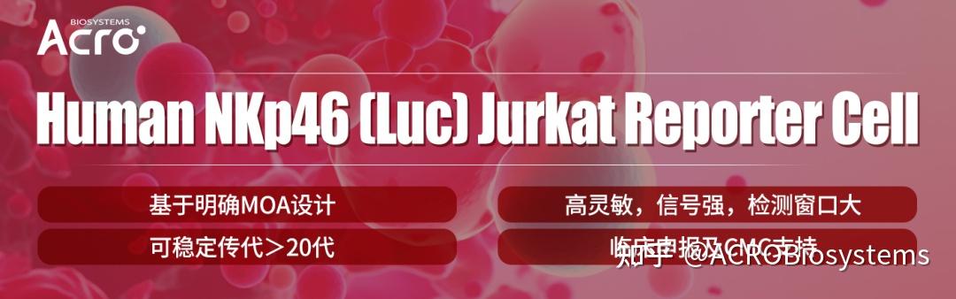 【免疫新思路】—— 首款NKp46三抗在华临床实验获批 - 知乎