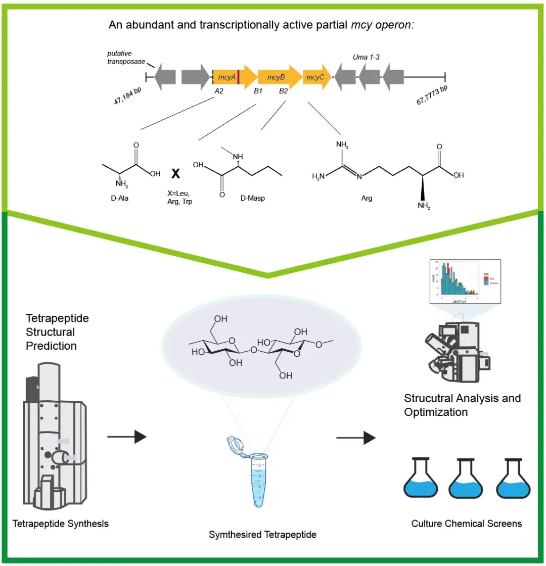 环境科学图形化摘要（Graphical Abstract）的绘制 - 知乎
