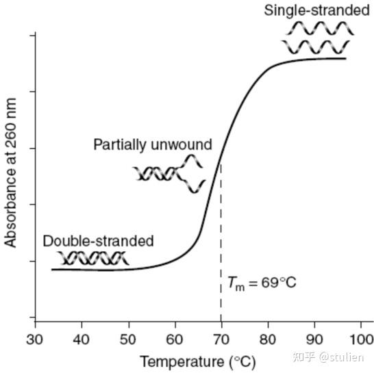 分子生物学回顾——染色体与DNA - 知乎