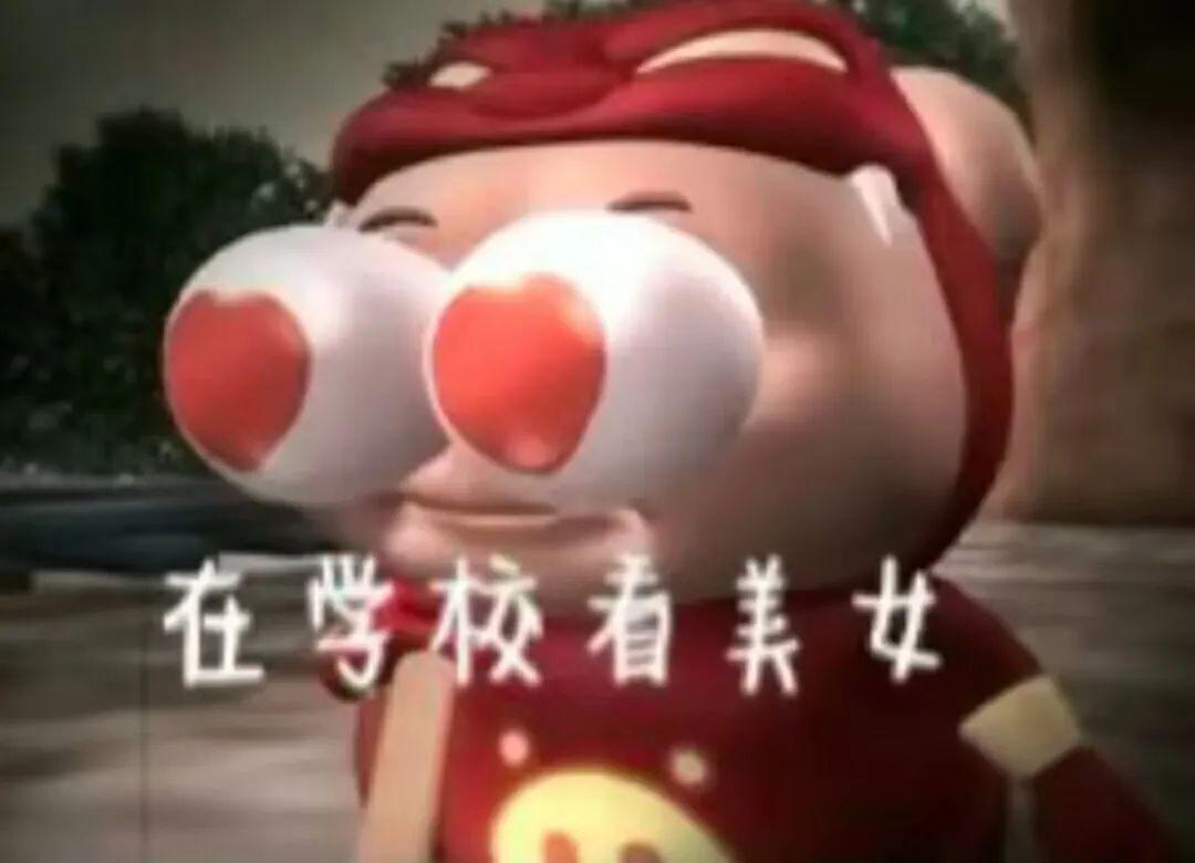 热门猪猪侠：美丽的小姐我叫Bond,GGBond表情包 - 知乎