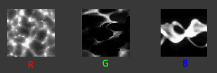 Trail Effect - 知乎