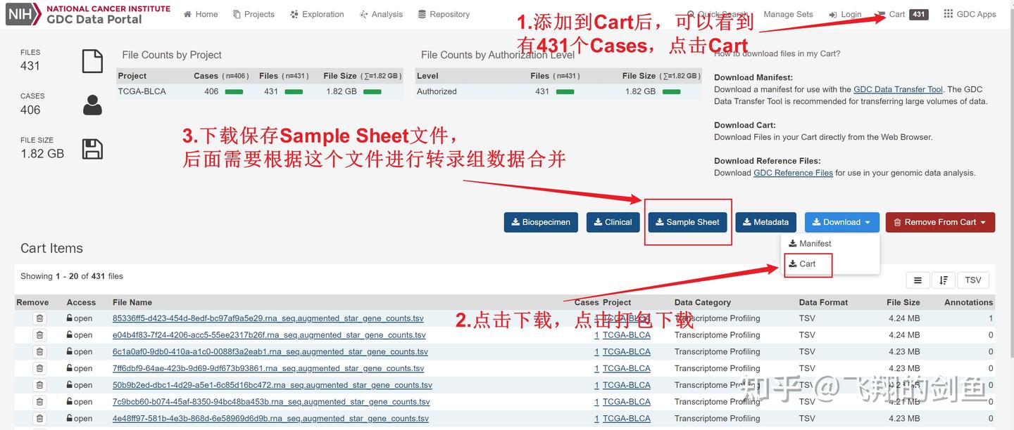 TCGA挖掘：下载整理转录组数据（无需json文件） - 知乎
