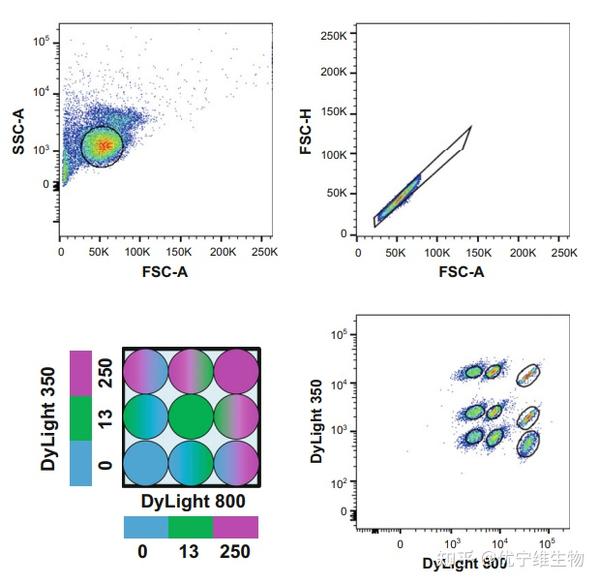 用于免疫表型分析的荧光细胞条形码（Fluorescent Cell Barcoding） - 知乎