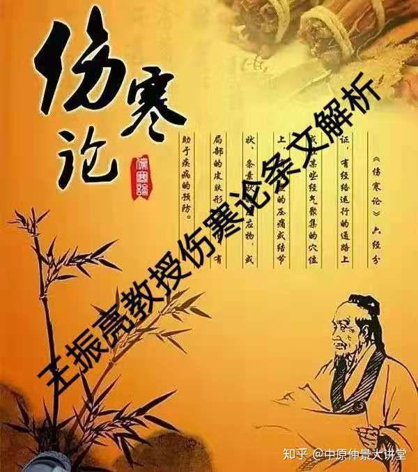 王振亮教授《伤寒论》条文解析 知乎