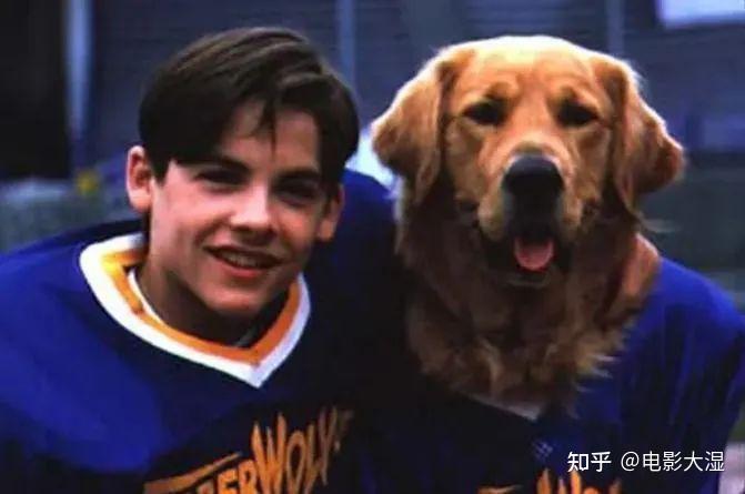 人类最忠实的伙伴，10部关于狗狗的电影 - 知乎