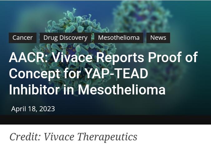 AACR：Vivace 报告 YAP-TEAD 抑制剂在间皮瘤中的概念验证 - 知乎