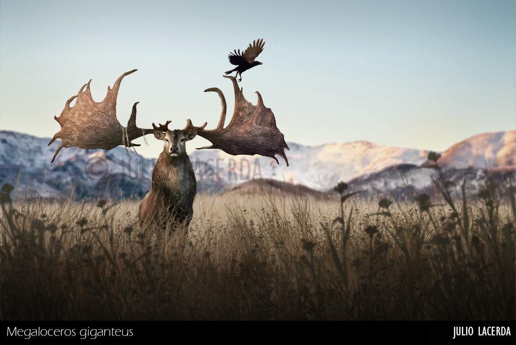 【神秘动物学】Hippocerf - 知乎