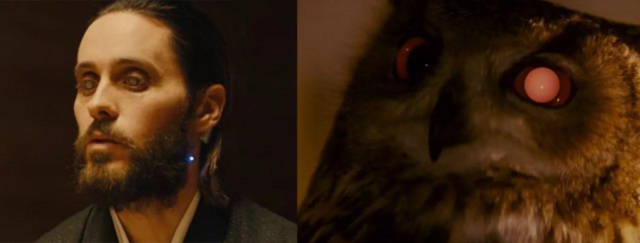 爱了《银翼杀手》20年，才有资格和你们谈《2049》：2万字论文解锁复制人灵魂深处 - 知乎