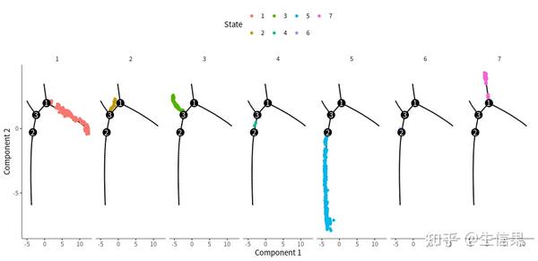 一学就会的拟时序分析：用Monocle2洞察细胞发育 - 知乎