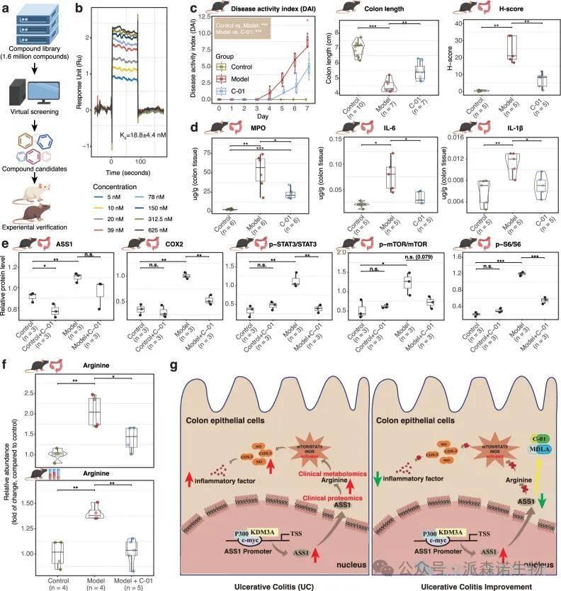 《医学多组学文献分享》Nat. Commun. 重磅发现：靶向ASS1-精氨酸轴或成溃疡性结肠炎治疗新策略 - 知乎