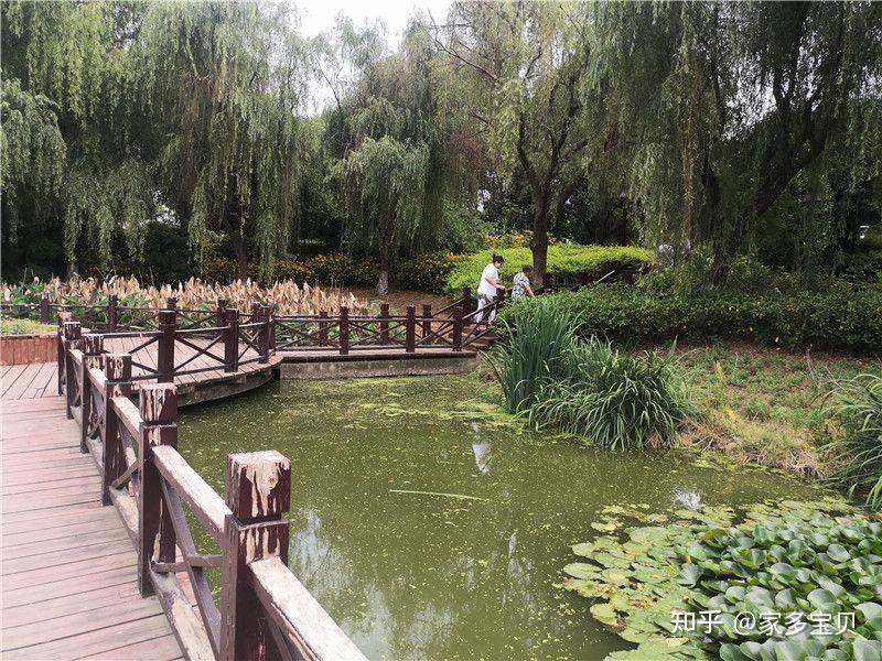 沿水步道 与自然的亲密接触 - 知乎