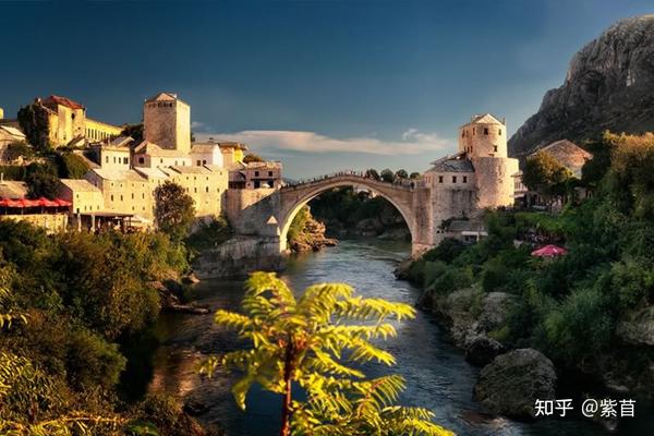 新晋网红-塞尔维亚Rakija - 知乎