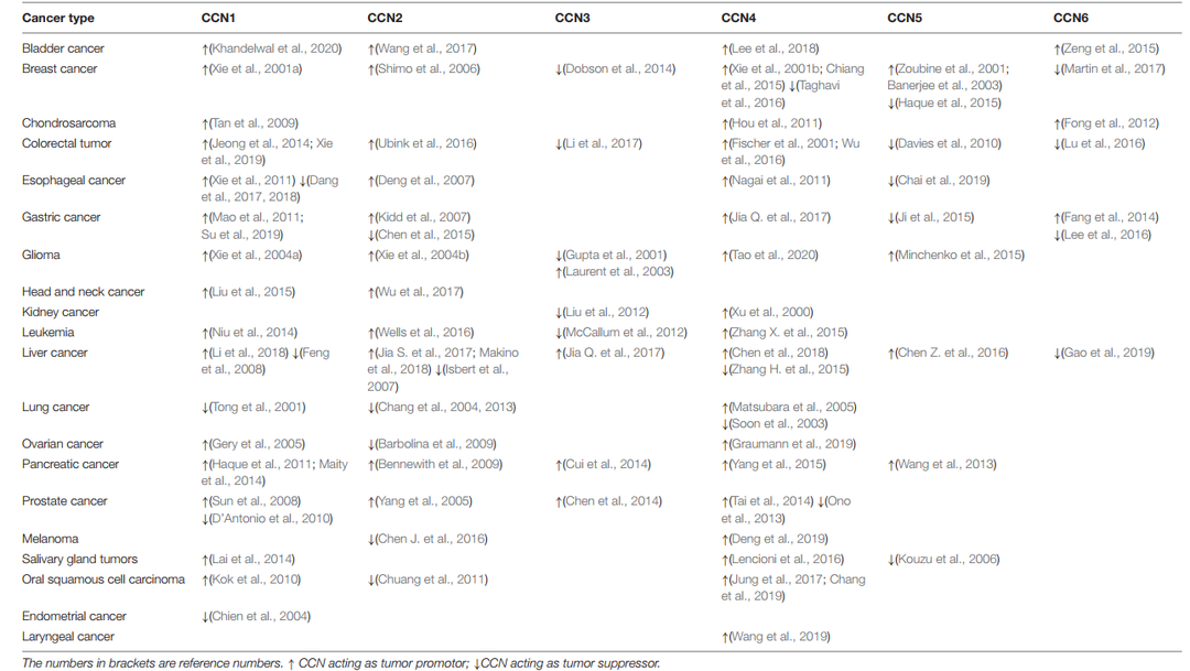 CCN蛋白家族--各有特色的促癌三兄弟 - 知乎