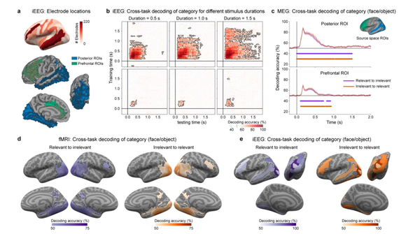 IIT vs GNWT：意识理论对比检验 - 知乎