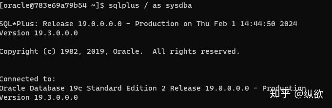 Docker安装Oracle 19c - 知乎