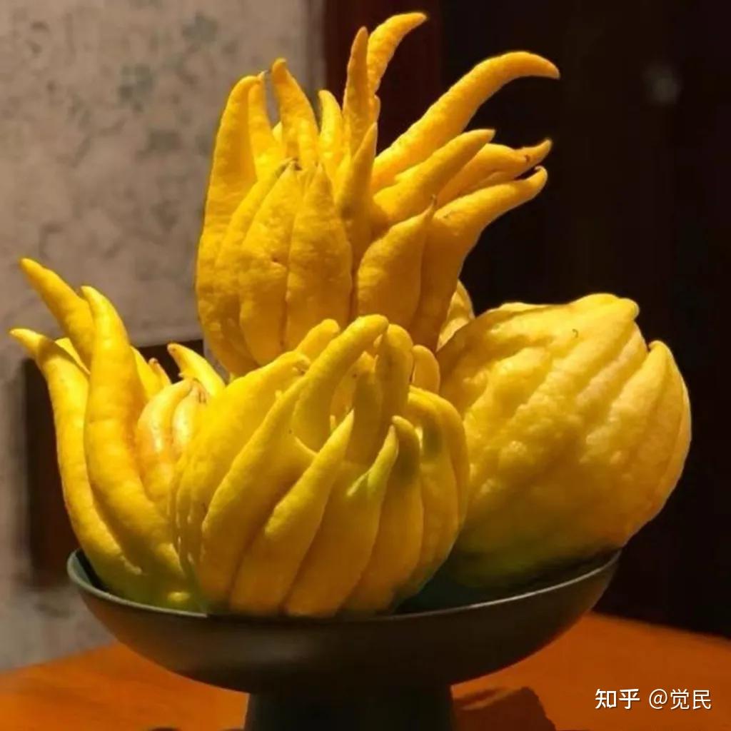 广州“富二代”私享小课 DAY2：为何我们应当感恩并将这份机缘承载下去？ - 知乎