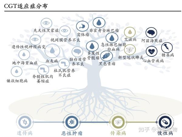 国产GMP级转染试剂助力细胞基因治疗的持续快速发展 - 知乎
