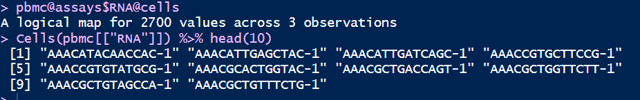 V5和V4版Seurat对象内部结构对比详细版 - 知乎
