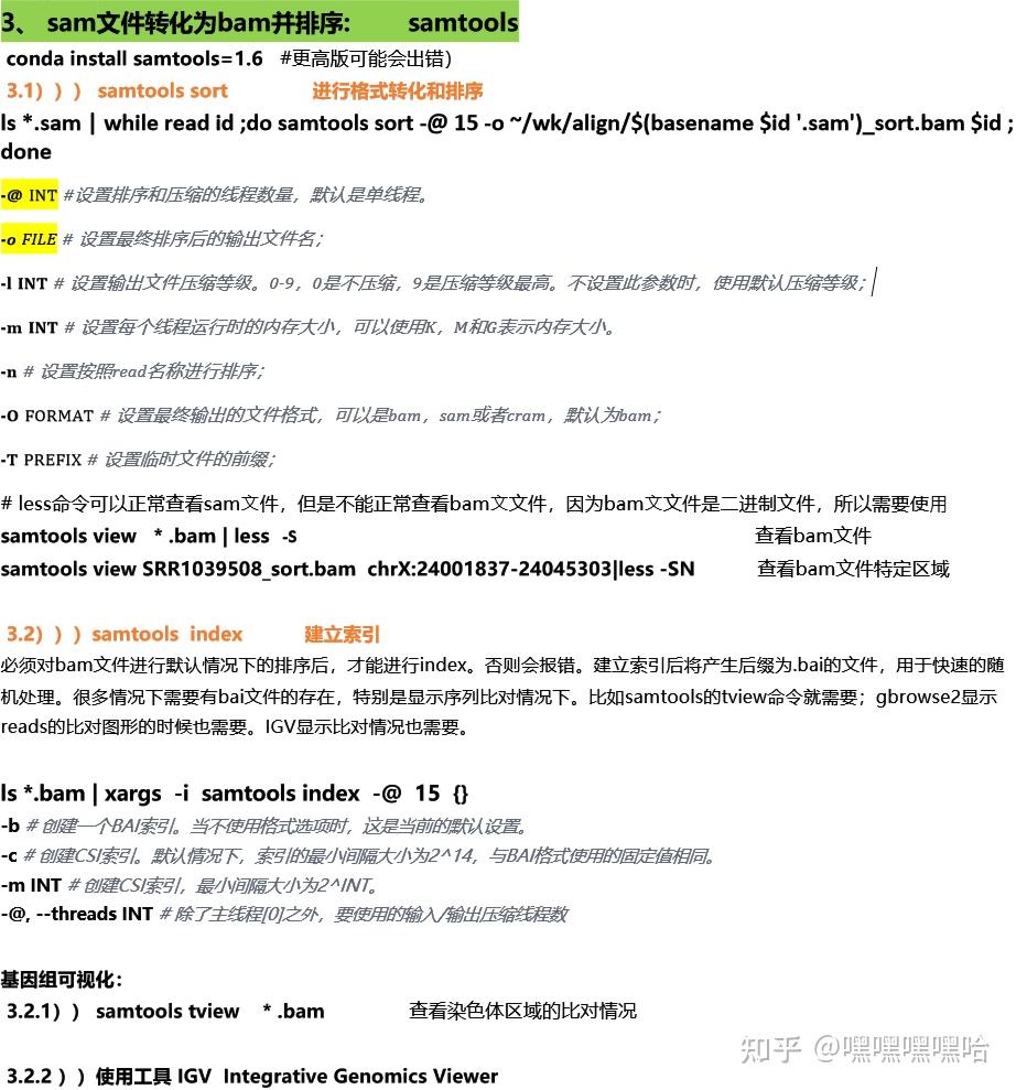 RNA-seq入门实战（二）：上游数据的比对计数——Hisat2+ featureCounts 与 Salmon - 知乎