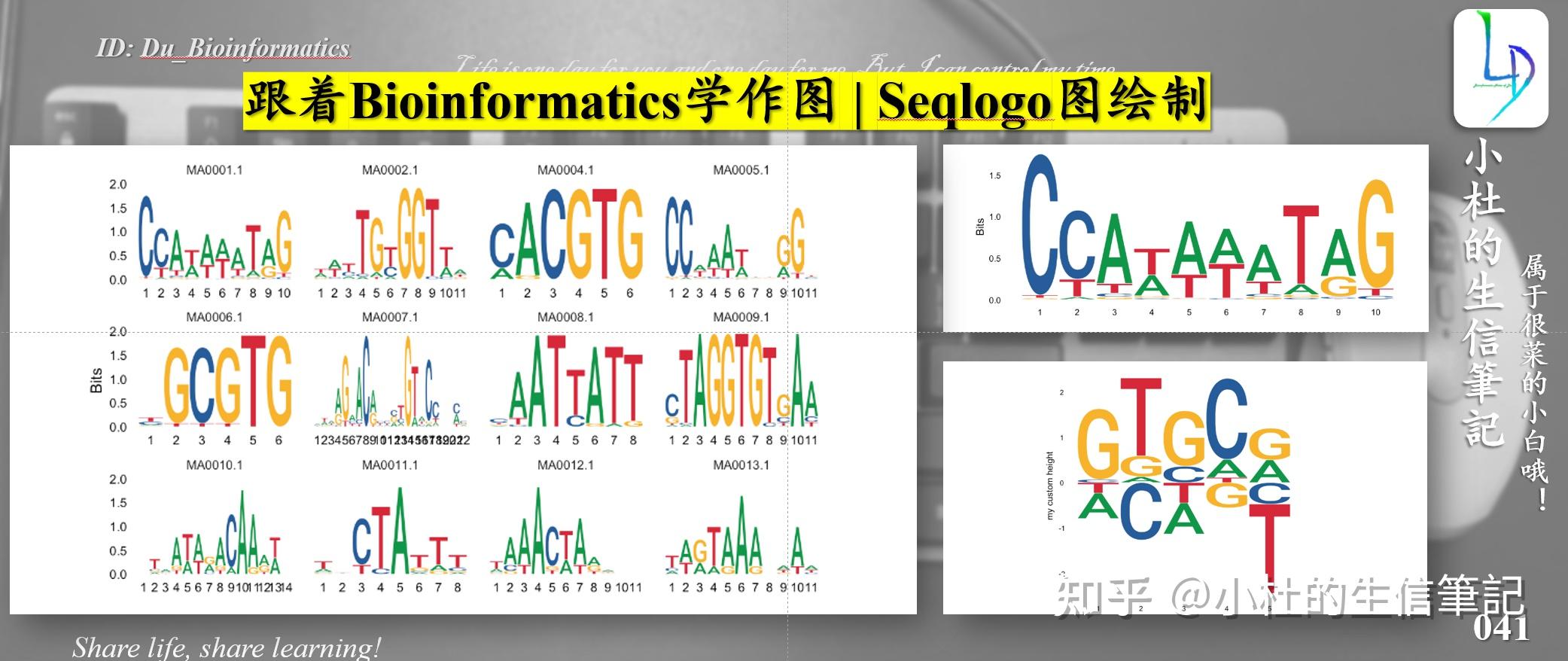 跟着Bioinformatics学作图 | Seqlogo图绘制 - 知乎