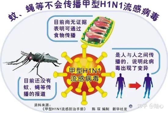 关于甲型H1N1的知识 - 知乎