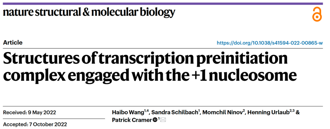 Nat Struct Mol Biol︱王海波等揭示+1核小体调控转录起始的分子机制 - 知乎