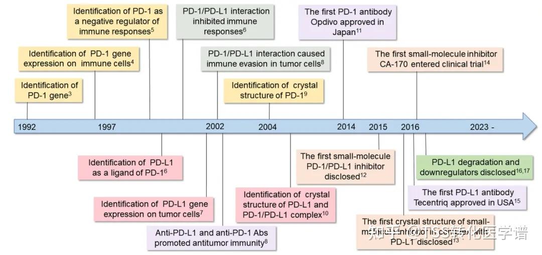 【JMC】免疫检查点PD-L1蛋白降解剂和调节剂研发现状 - 知乎