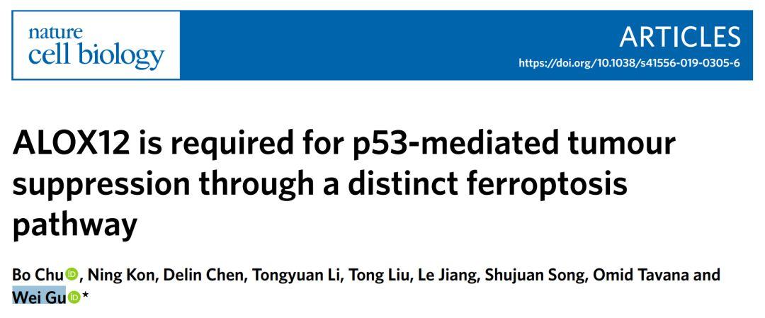 Nature子刊：p53研究风云再起，顾伟团队发现p53诱导细胞铁死亡的必需基因和分子机制 - 知乎