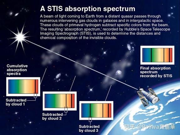 2024 Oligoscan, Spectrophotometry, & Top Trends-2024年Oligoscan分光光度法和热门 ...