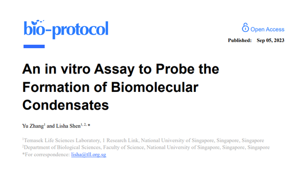 生物大分子凝集体：液 - 液相分离实验与应用 - 知乎