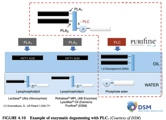 油脂精炼工艺：脱胶（Degumming）上篇 - 知乎