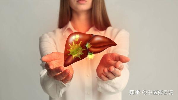 养肝就是养寿，四个中成药，养肝血、疏肝气、泻肝火、平肝阳 知乎