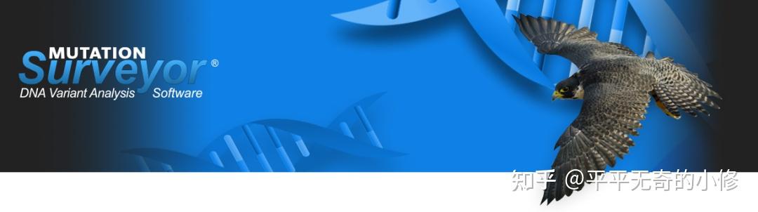 Mutation Surveyor DNA 变异分析软件解读系列(一) - 知乎