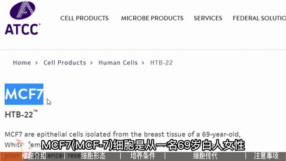 MCF7（MCF-7）细胞培养，人乳腺癌细胞培养攻略 - 知乎
