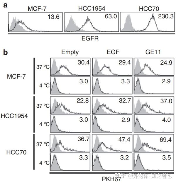 GE11让肿瘤庇护神EGFR无可遁形 - 知乎